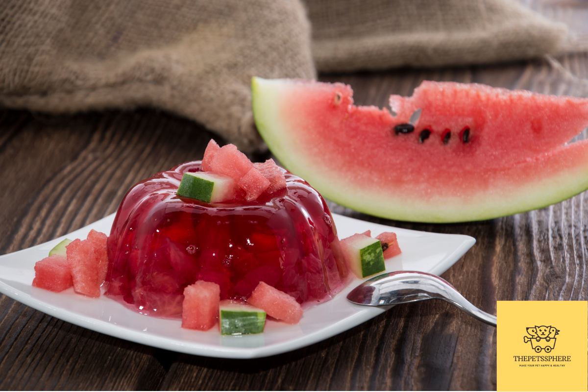 Can Dogs Eat Jello? What You Need to Know! | The Pet's Sphere